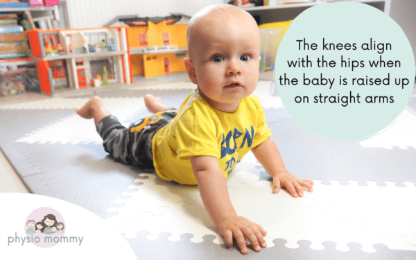 Frog Legs - a Few Things Worth Knowing - Physiomommy